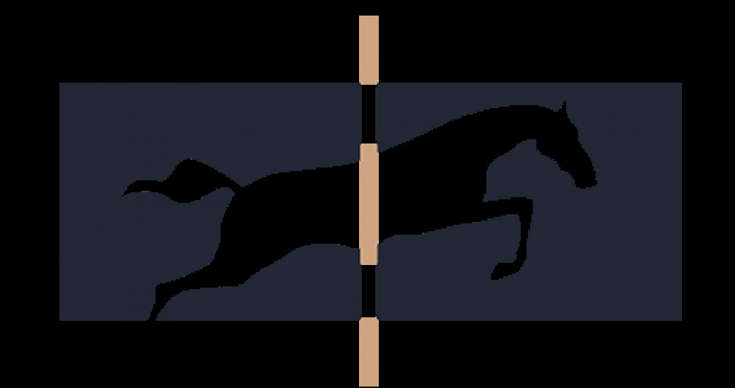 Private Equity Investment Firm | Carousel Capital